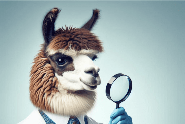 Rag Retrieval Augmented Generation With Llamaindex Elasticsearch And Mistral Elasticsearch Labs